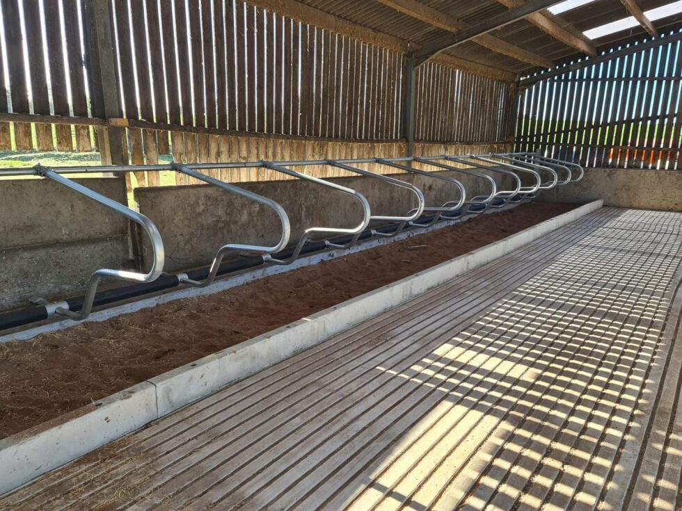 24 x cosmos cubicles on sand beds with stainless water trough | David R ...